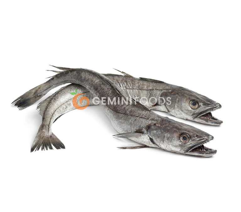 Gemini Foods - Your one-stop shop for African & Caribbean food products